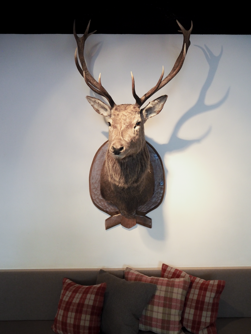 A Weekend at the Cervo Mountain Boutique Resort, Zermatt – Inattendu